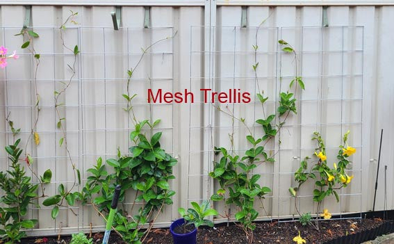 Colourbond Trellis Hanger (sold as pairs) – Mother Earth Nursery