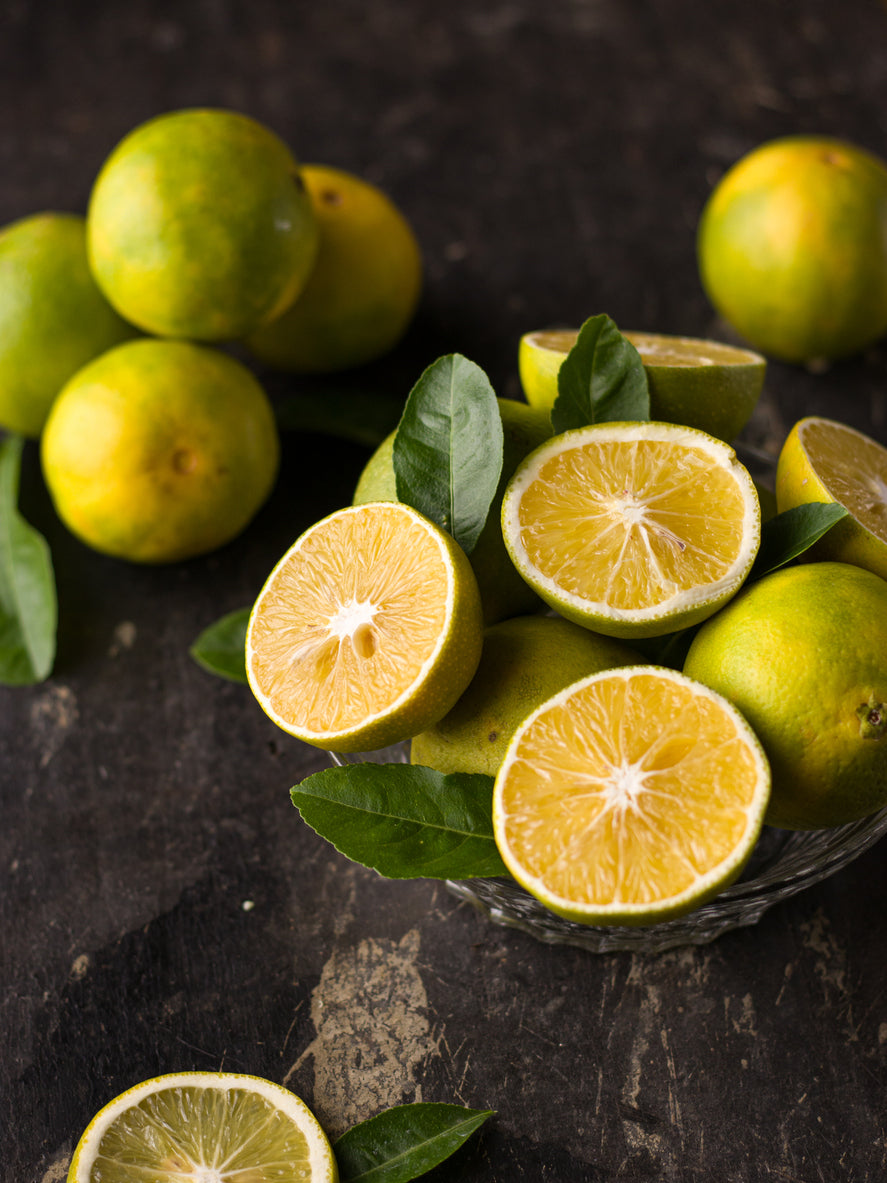 Citrus Persian Sweet Lime Limu Shirin - Growing - Enquire in store ...