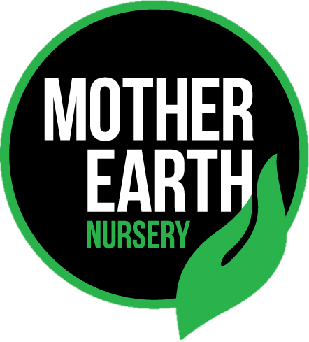 Edibles - Australian Bush Tucker – Tagged "perennial plants" – Mother ...