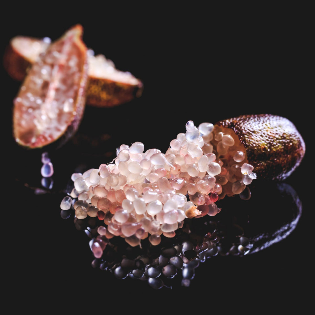 Citrus Finger Lime Pink Ice – Mother Earth Nursery