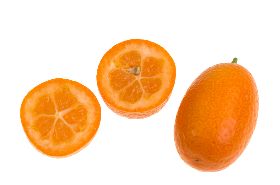 Citrus Gems Sunrise Lime – Mother Earth Nursery